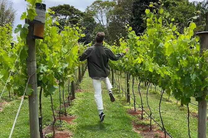 Deluxe Winery Tour to Tamborine Mountain (Mon-Tues) - Price and Value Analysis