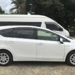Denarau Hotels to Nadi Airport (Private Departure Transfer) - What Travelers Say: Authentic Voices