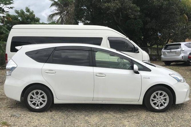 Denarau Hotels to Nadi Airport (Private Departure Transfer) - What Travelers Say: Authentic Voices