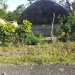 Departure Transfer Warwick/Naviti /Hideaway Resort To Nadi Airport - What the Service Means for Your Fiji Journey