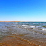 Desert Adventure from Samarkand: Yurt Camp & Aydarkul Escape - Practical Details and Value