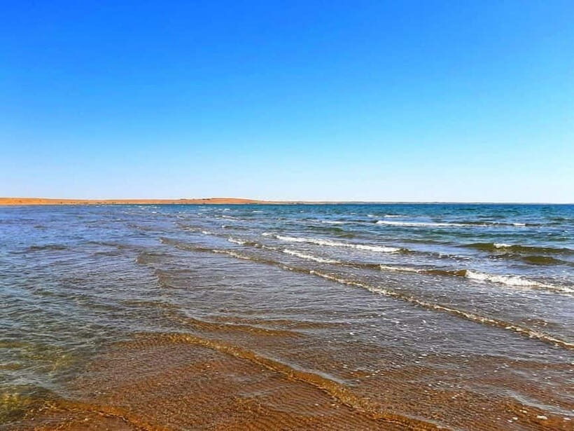 Desert Adventure from Samarkand: Yurt Camp & Aydarkul Escape - Practical Details and Value