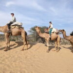 Desert Camel Safari Day Tour In Jodhpur - What’s Included & What’s Not