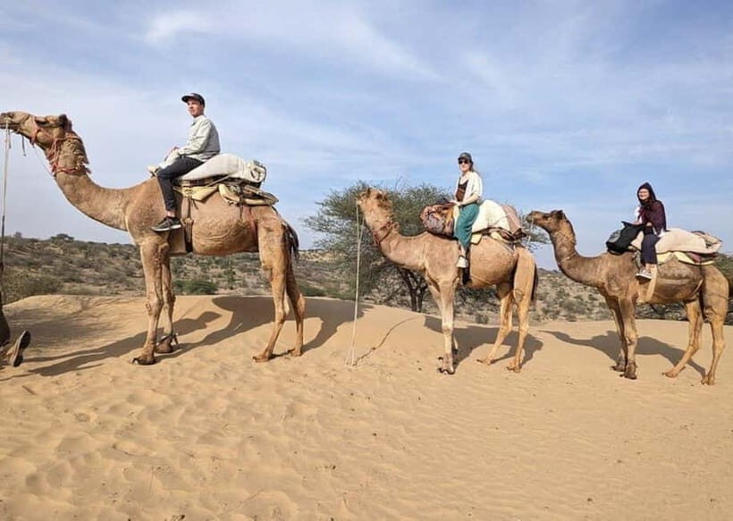 Desert Camel Safari Day Tour In Jodhpur - What’s Included & What’s Not