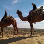 Desert Jeep Safari Tour From Jodhpur - Who Will Appreciate This Tour?