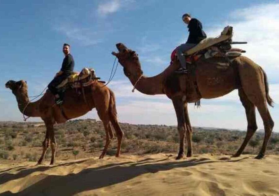 Desert Jeep Safari Tour From Jodhpur - Who Will Appreciate This Tour?
