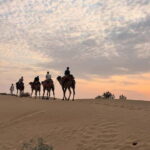 Desert Rose Jaisalmer: Overnight Stay Middle of Thar Desert - Overview of the Tour