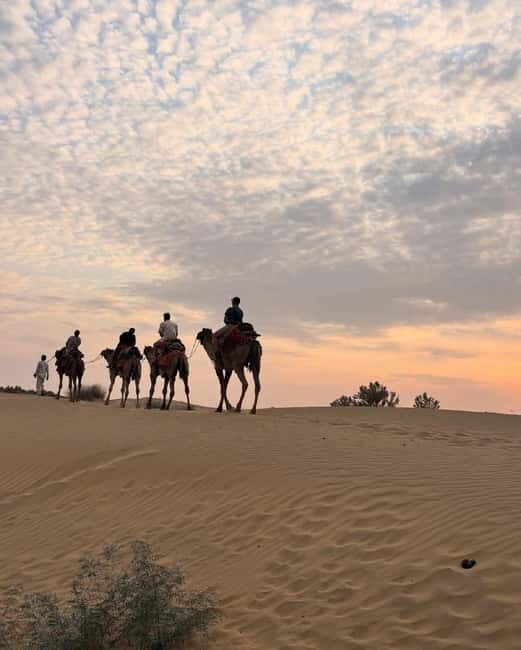 Desert Rose Jaisalmer: Overnight Stay Middle of Thar Desert - Overview of the Tour