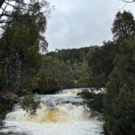 Devonport Cradle Mt Sightseeing tour - An In-Depth Look at the Tour Experience