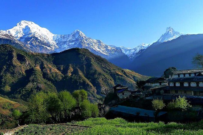 Dhampus trek - Authentic Experiences and Honest Impressions