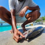 Dhiffushi: Sport Fishing Big Game Fishing Maldives - What to Expect from the Dhiffushi Big Game Fishing Tour