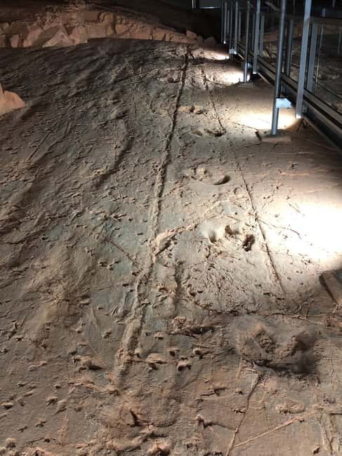 Dinosaur Stampede Half Day Tour - Dino Dash - Final Thoughts