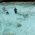 Discover Cascades & Turtle Experience with Yumi Tours - The Turtle Conservation at Avi Bay