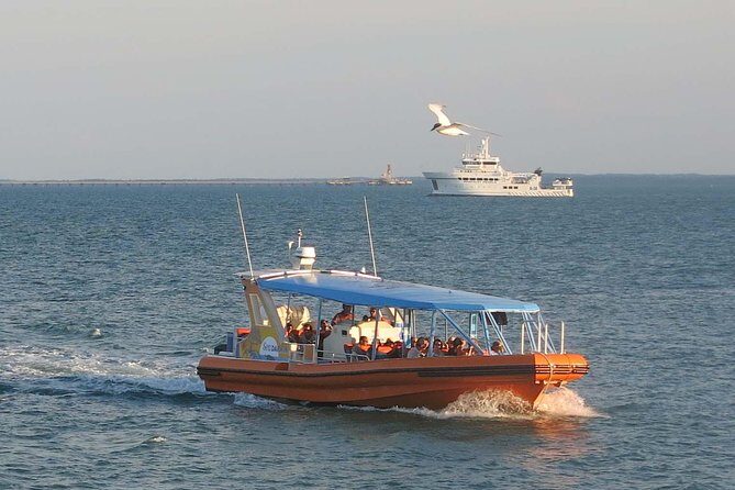 Discover Darwin Harbour 1 hour Darwin Harbour Cruise - What the Reviews Say
