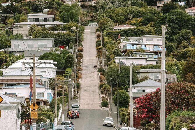 Discover Dunedin: Wildscene Private Shore Excursion - Frequently Asked Questions