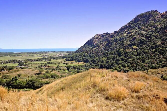 Discover Fiji's Key Attractions in Nadi for a Half-Day Visit - The Sum Up
