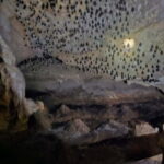 Discover Langkawi Like a local - Private Island Tour - Why This Tour Offers Real Value