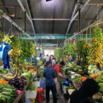 "Discover Male': A Guided Tour in the Heart of the Maldives. - The Practicalities