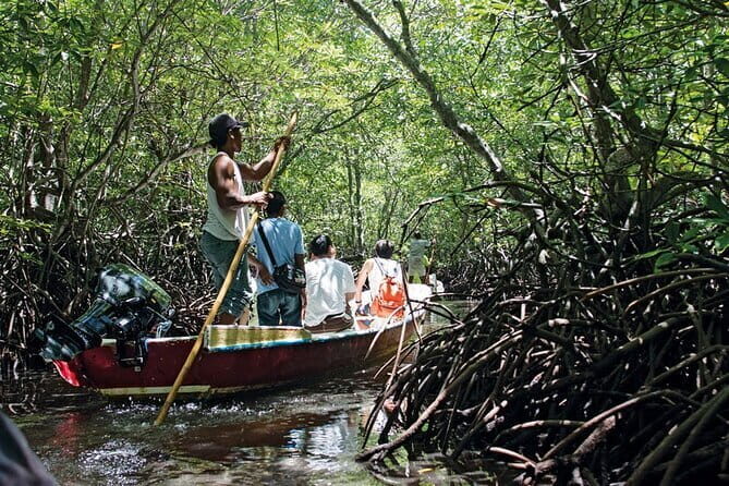 Discover Mangrove Forest and Cave Tour in Langkawi (Shared Tour) - Practical Details & Tips