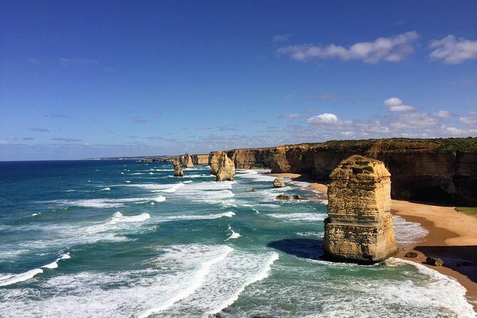 Discover Melbourne City and Penguin Parade Eco Tour - Reviews and Real Traveler Feedback