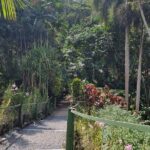 Discover Nadi Fiji Private Tour (All Fees Included) - Value for Money: Is It Worth the Cost?