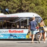 Discover Rottnest with Ferry & Bus Tour - A Deep Dive into the Rottnest Experience