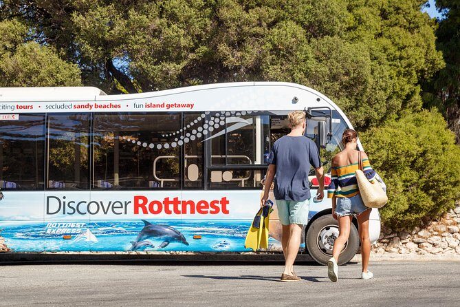 Discover Rottnest with Ferry & Bus Tour - A Deep Dive into the Rottnest Experience