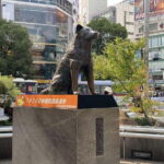 Discover Shibuya Culture and Street Life with a Local Guide - FAQ