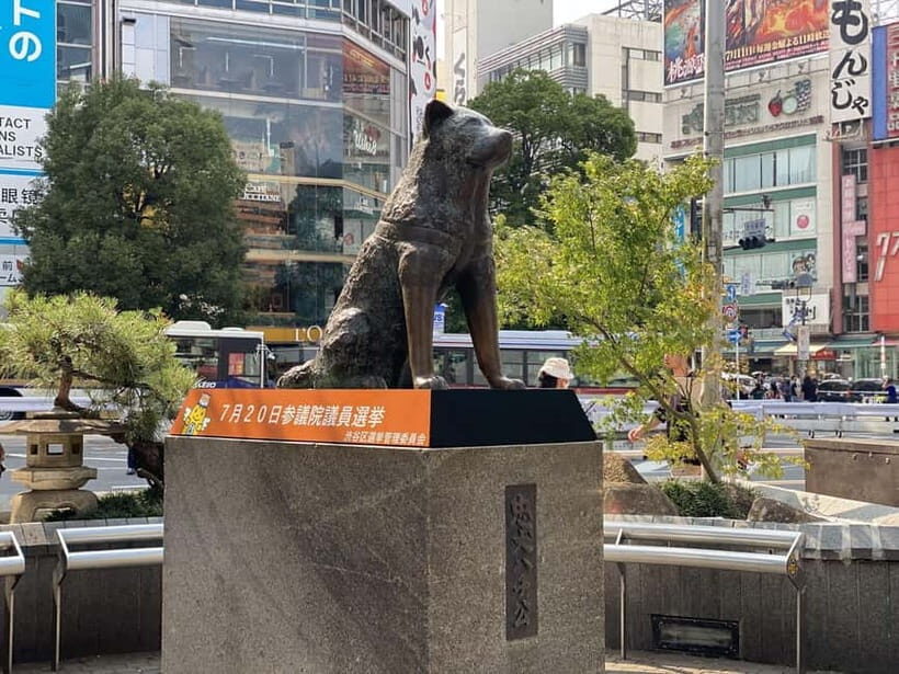 Discover Shibuya Culture and Street Life with a Local Guide - FAQ