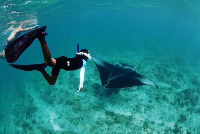 Discover South Ari Atoll - Full Day Tour from Male city - Transportation and Group Size