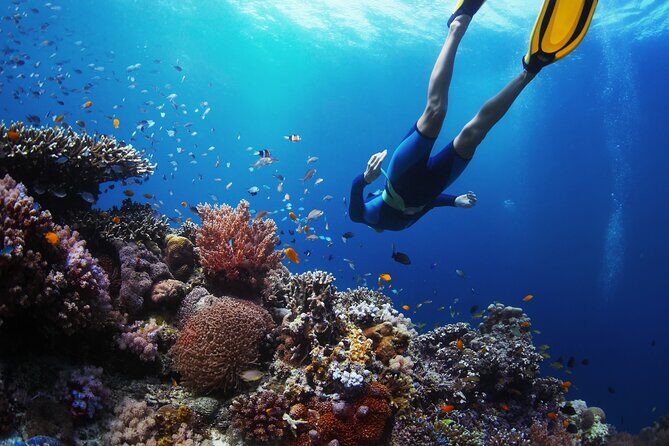Discover UnderWater Blue Lagoon with this Snorkeling - Why This Tour Offers Good Value