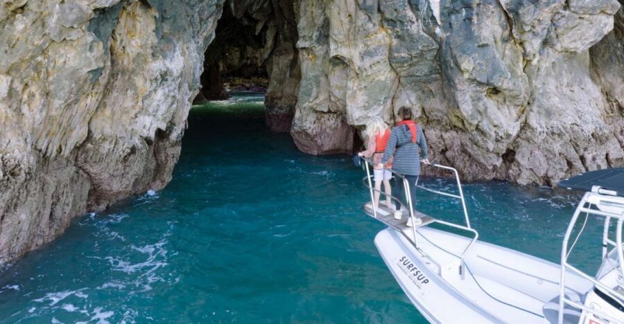 Discover Whangamata - Boat Tour - What Makes This Tour Special?