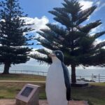 Discovering Tasmania: Burnie Shore Excursion - Who Would Love This Tour?