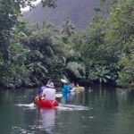 Discovery in Kayaking of the Faaroa River in Raiatea - What Reviewers Say