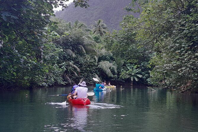 Discovery in Kayaking of the Faaroa River in Raiatea - What Reviewers Say