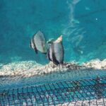 Discovery of the Tahiti Teahupo'o Jurassic Tour peninsula - The Sum Up: Is This Tour Right for You?