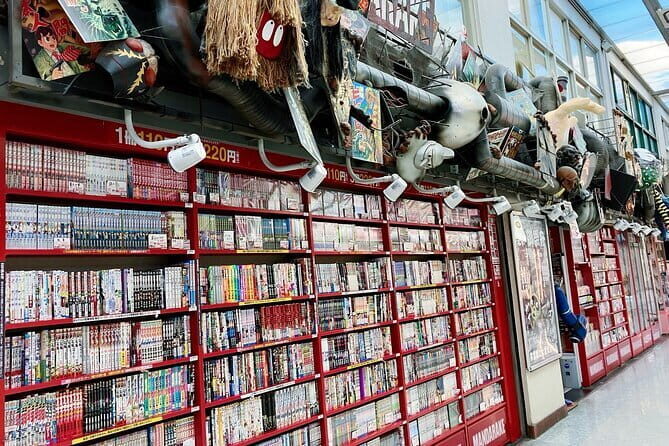 Dive Deep into Anime & Manga Culture & Karaoke in Nakano - The Karaoke Experience at Manekineko