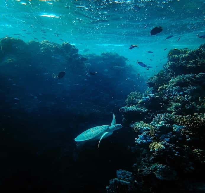 Diving course site for Beginers in Tulamben - The Itinerary: What Will Your Day Look Like?