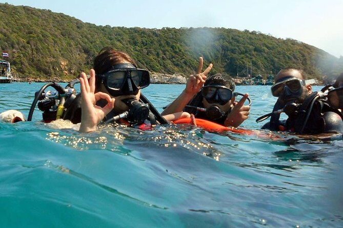 Diving (For Beginner diver) - Pattaya - The Practicalities: Logistics, Timing, and Suitability