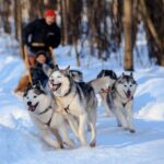 Dog Sledding , Terelj National park ,Chinggis Khaan statue - Exploring the Landmarks of Terelj