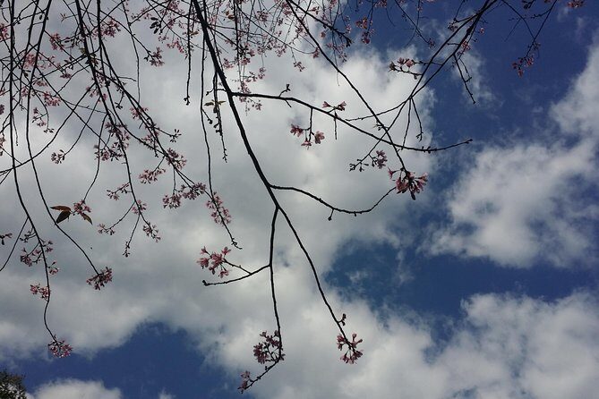 Doi Inthanon National Park and Hiking - What Travelers Have Praised