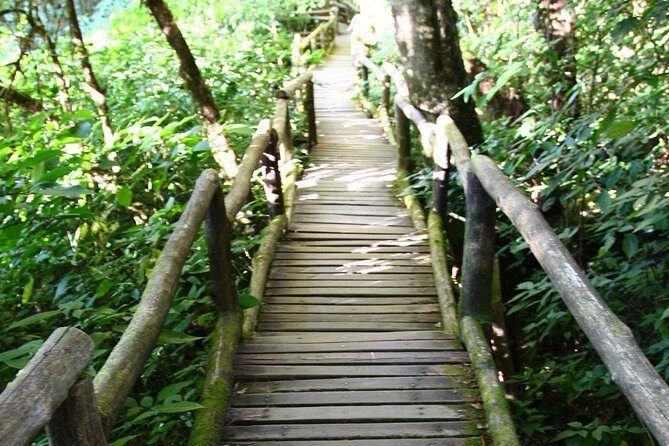 Doi Inthanon National Park including Lunch from Chiang Mai - Value and Practical Considerations