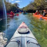 Dolphin Sanctuary and Ships Graveyard Kayak Tour - Who Will Love This Tour?