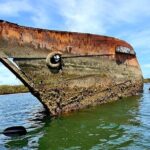 Dolphin Sanctuary Kayak Tour Adelaide - Who Should Consider This Tour?