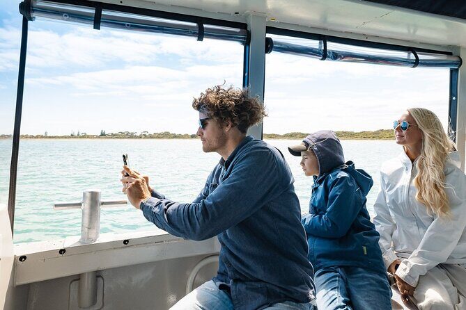Dolphin, Sea Lion and Penguin Island Cruise - Reviews and Authentic Perspectives
