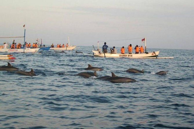 Dolphin Tour - Waterfall - Wanagiri Hill - Temple on the Lake - Free WiFi - Who Should Consider This Tour?