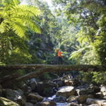 Dong Hoi: 2-Day Conquer Duong Cam Waterfall Adventure Tour - Detailed Breakdown of the Experience