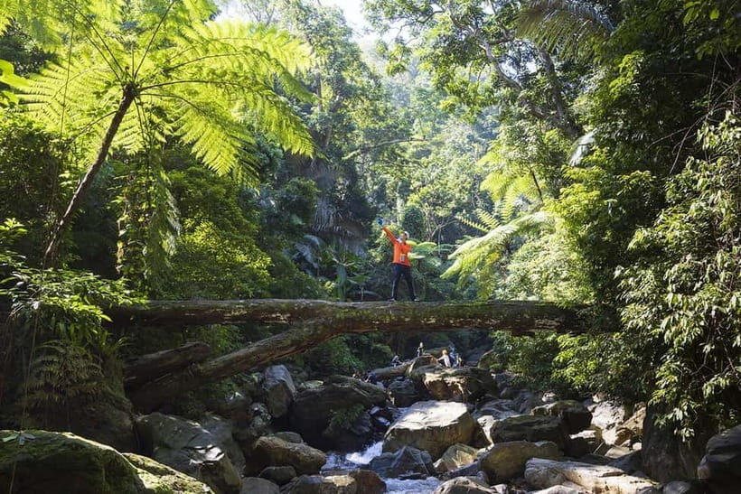 Dong Hoi: 2-Day Conquer Duong Cam Waterfall Adventure Tour - Detailed Breakdown of the Experience