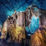 Dong Hoi: Paradise Cave & Phong Nha Botanical Garden Trek - Trekking Through the Phong Nha Botanical Garden