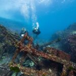 Double Dive to South Solitary Island Coffs Harbour - Marine Life & Visibility: What You Might See